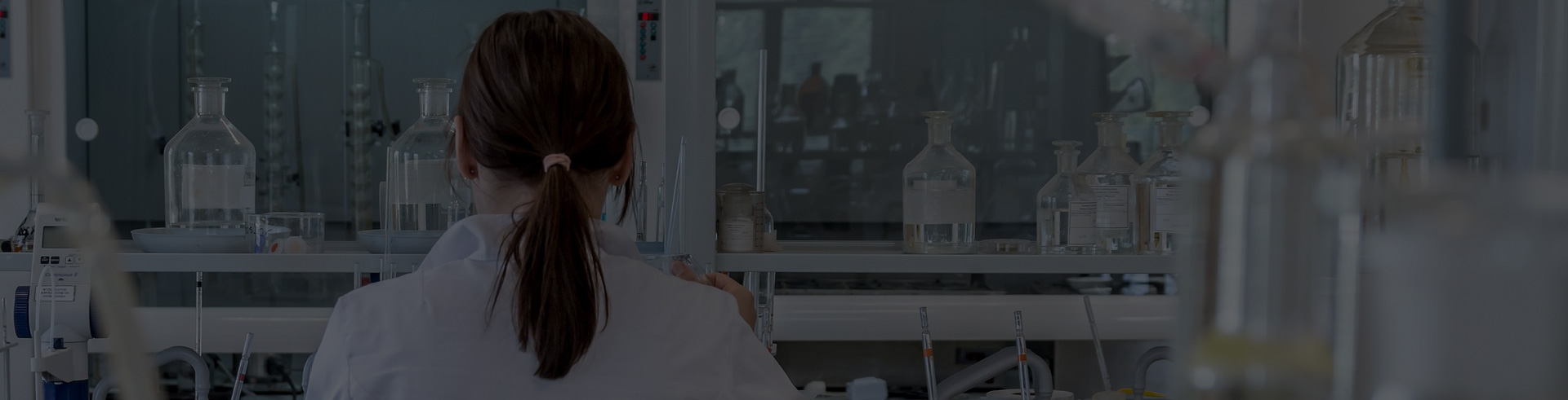 Nuestros servicios – Feda México